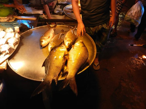 Local Fish Market Visit Report | Zoology Practical | Swarborno